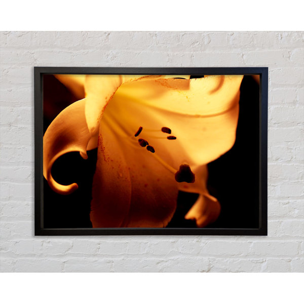 Ebern Designs Cocoa Sun Blaze - Einzelner Bilderrahmen Kunstdrucke auf Leinwand | Wayfair.de